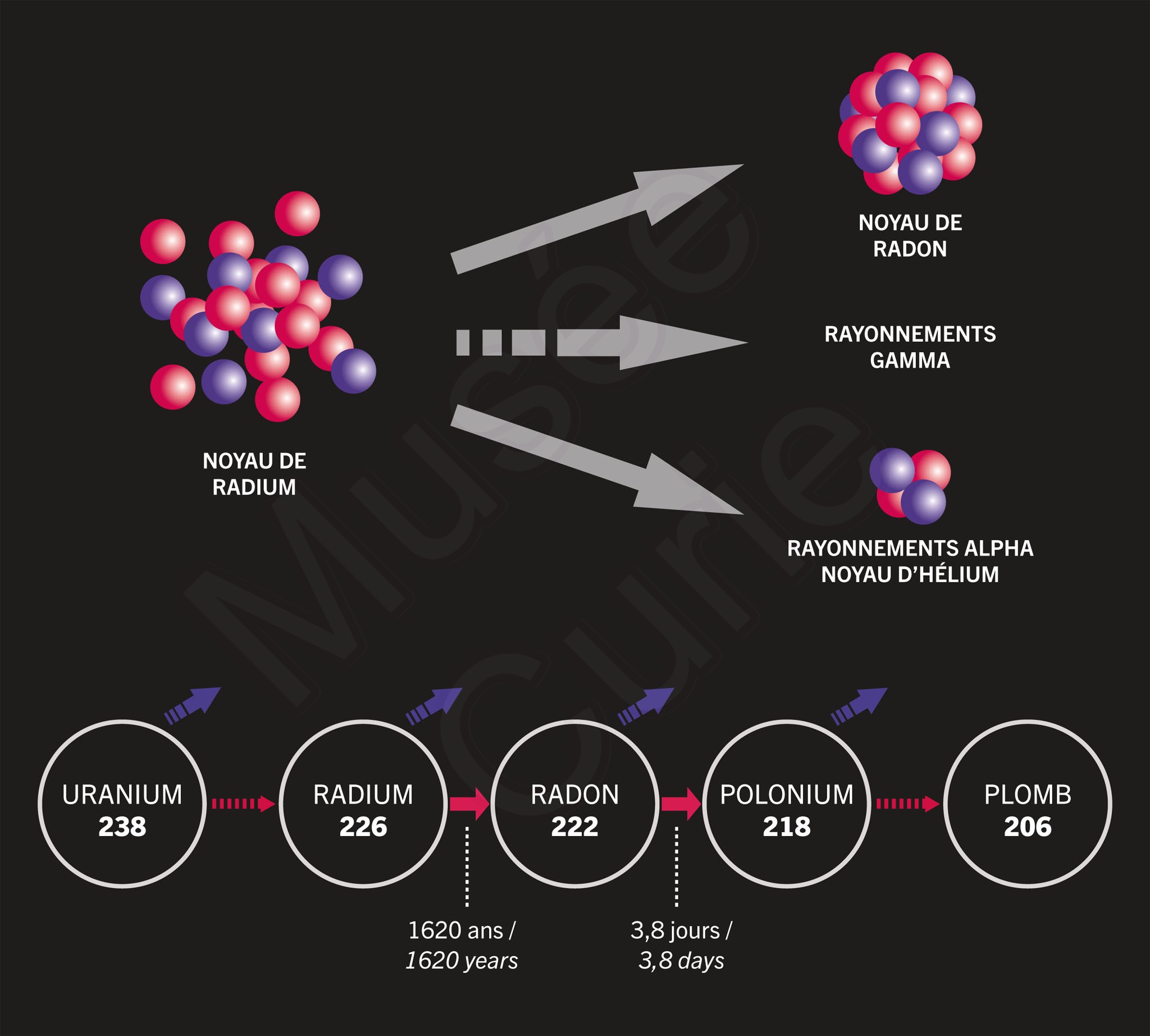 Visionneuse Musée Curie