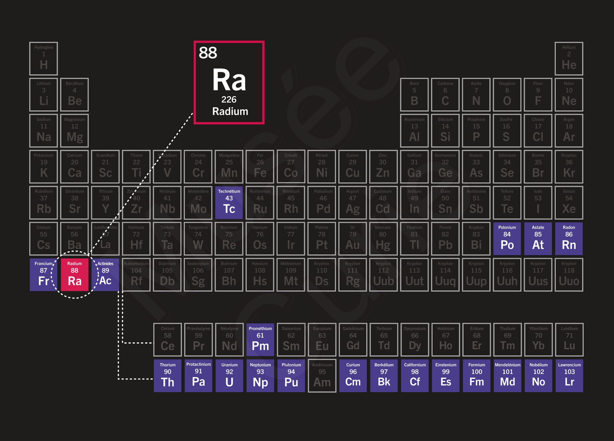Visionneuse Musée Curie